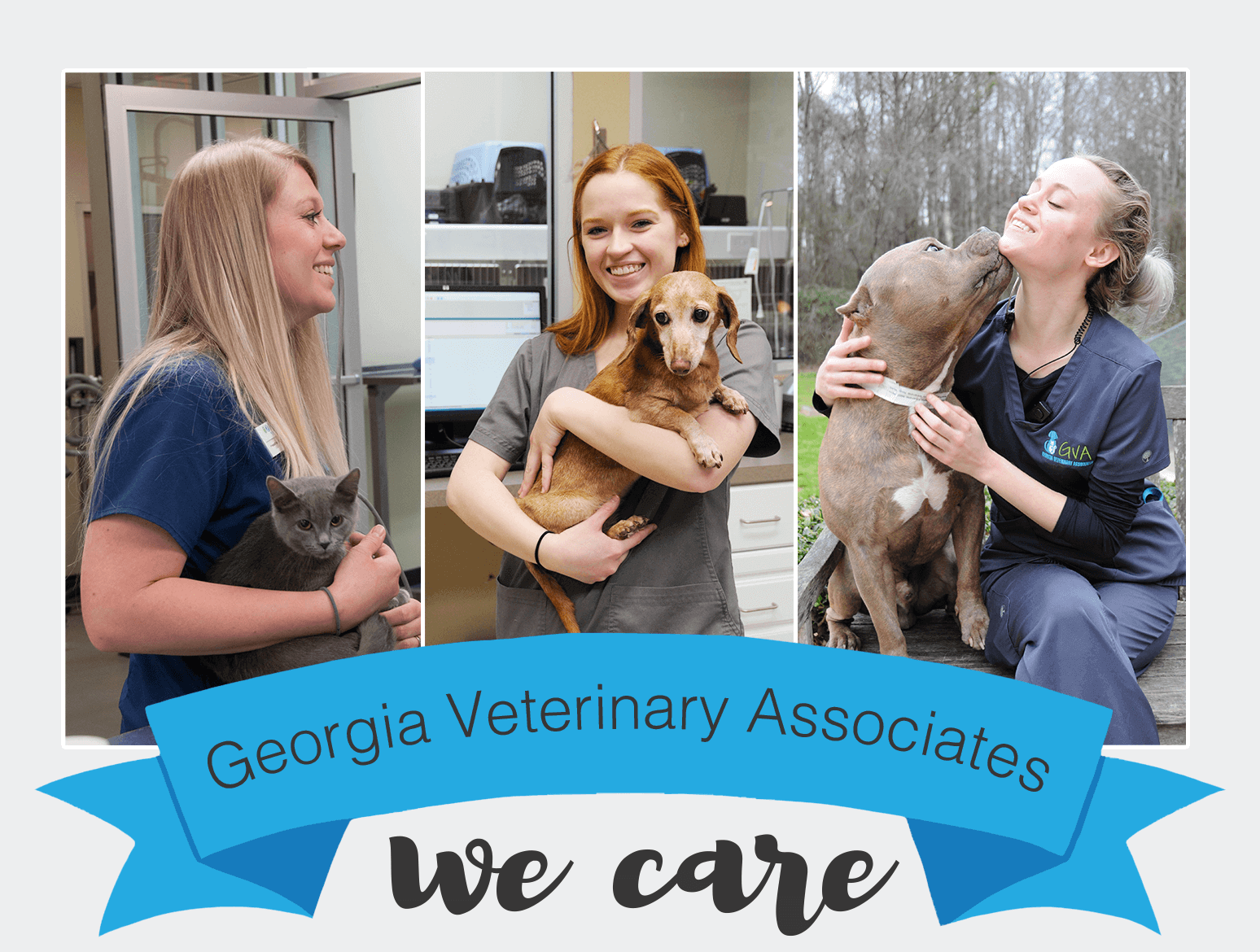 About Us | Georgia Veterinary Associates